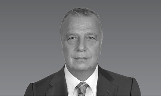 Borusan Holding 2018 Annual Report